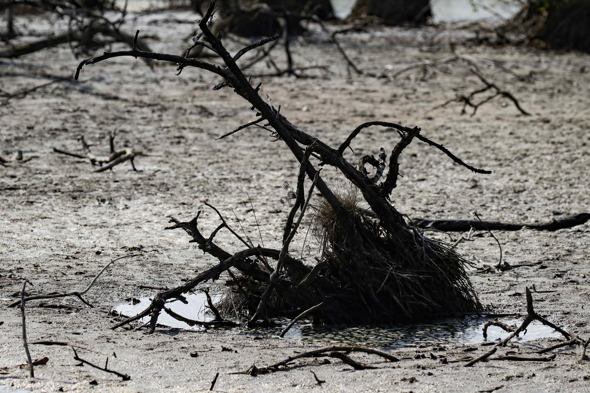 FAO y PMA instan a donar 202 millones de dólares para proteger a 22 ...